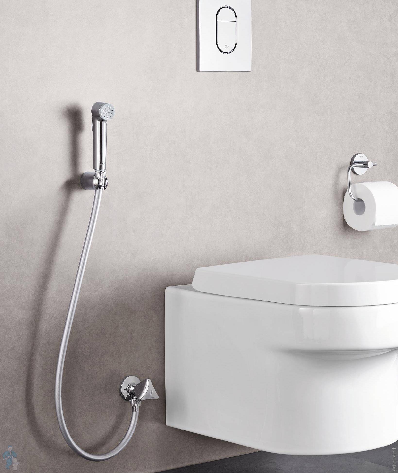 Душевой набор Grohe Tempesta-F 26352000 (шланг, лейка, настенный ...